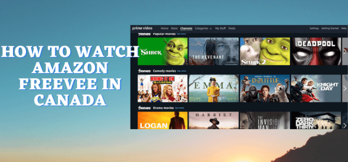 How to Watch Amazon Freevee in Canada [Its 100% Free!]