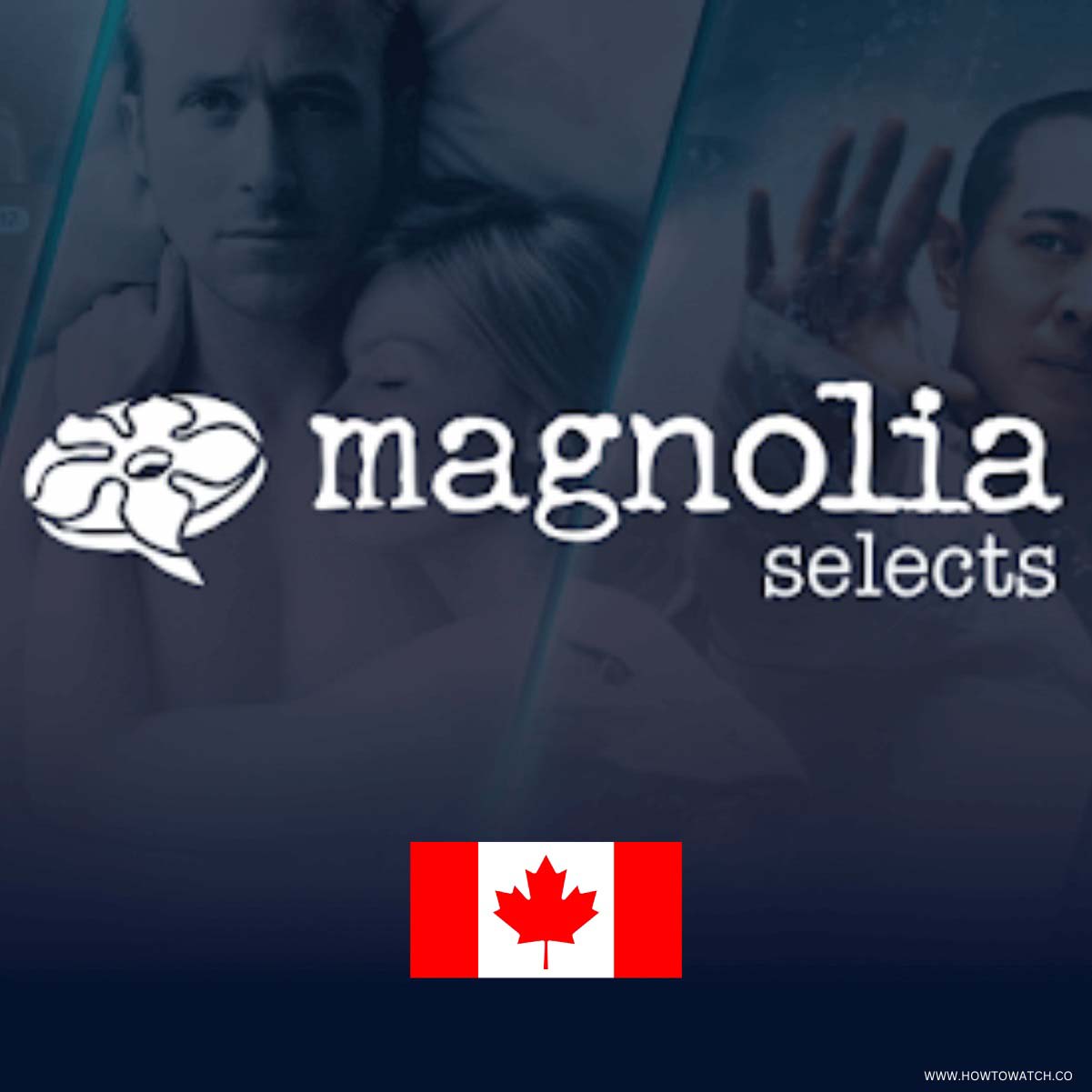 How to Watch Magnolia Selects in Canada [9 Easy Steps | 2026]
