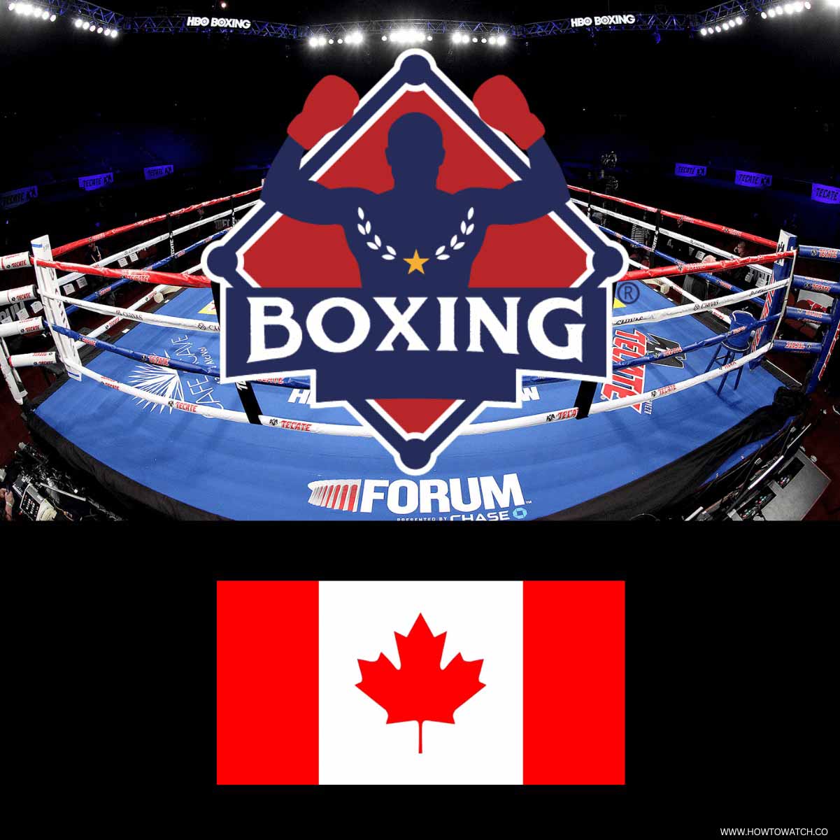 How to Watch Boxing in Canada [Free & Live Stream | 2024]