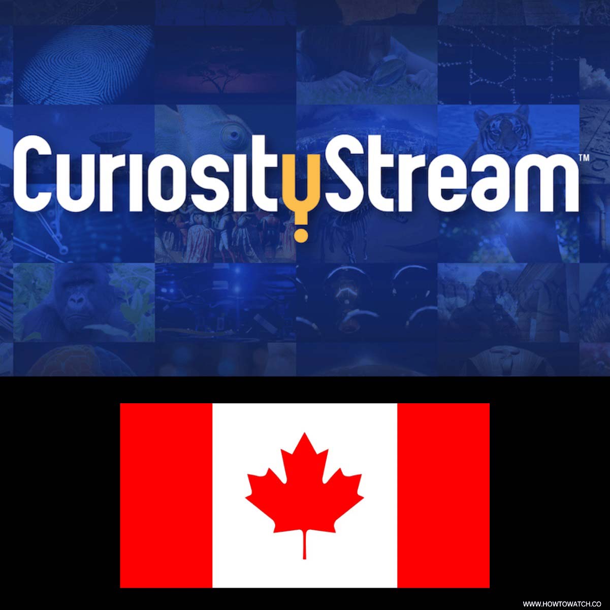 How to watch Curiosity Stream in Canada [Easy Steps | 2025]