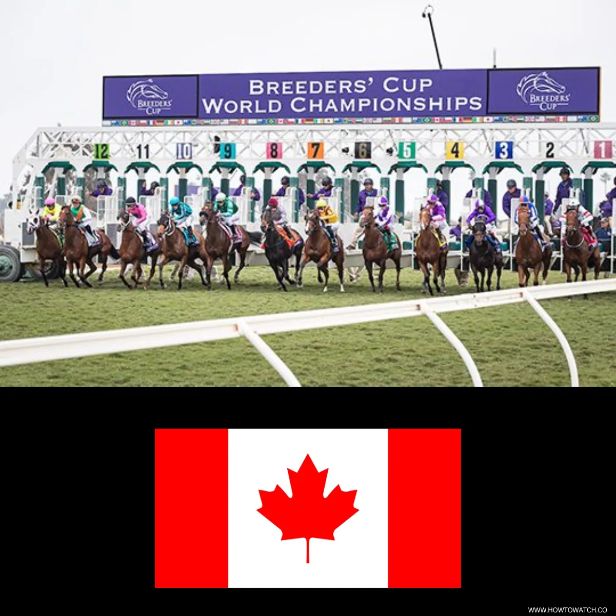 How to Watch Breeders’ Cup 2025 in Canada [Free + LIVE | 2026]